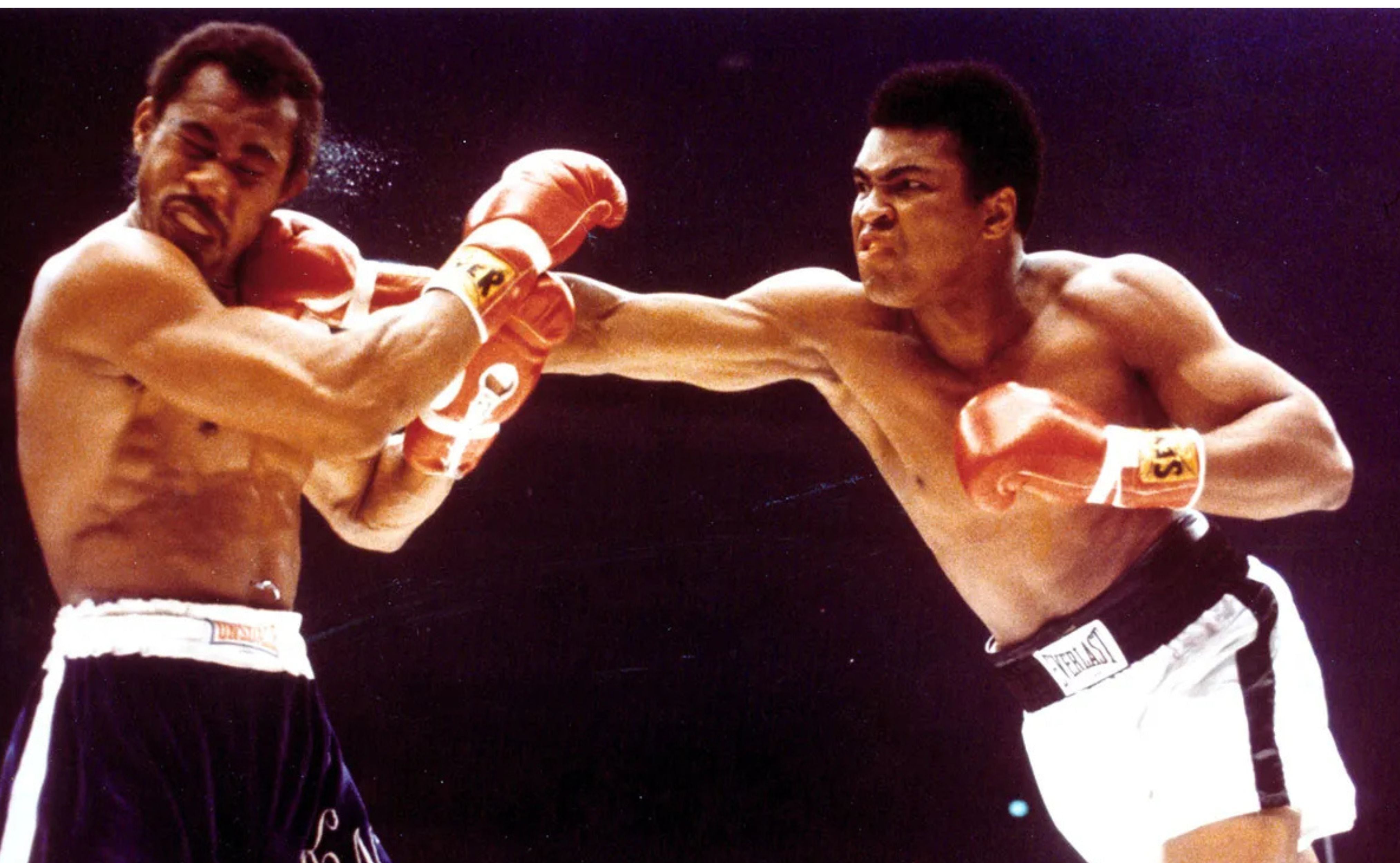 What It Takes to Be a Heavyweight Champion (stats explained)